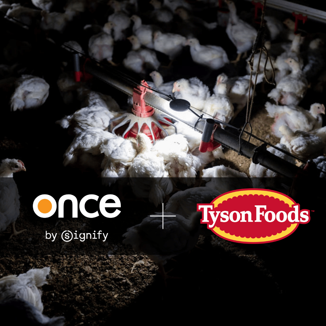 PRESS RELEASE: INTRODUCING OPTIENT, A REVOLUTIONARY GRADIENT LIGHTING SOLUTION TO TRANSFORM THE ...